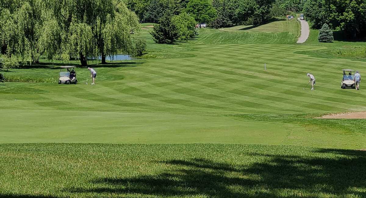 The Oaks of Cobden - Stay & Play